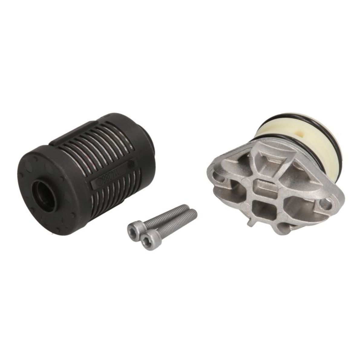 Ölfilter, Differential BORG WARNER BW2003085 für Audi, Seat, Skoda